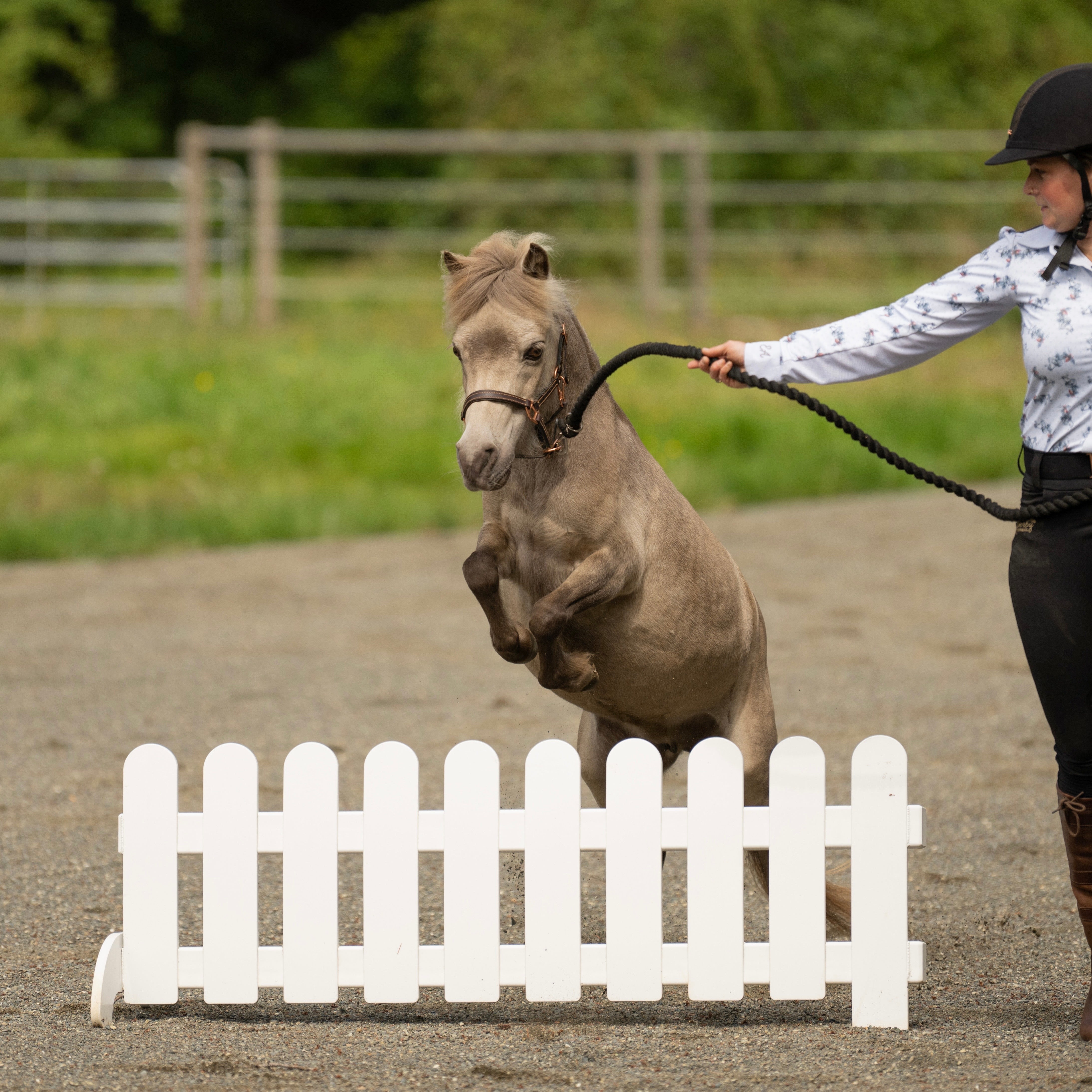 Jump Filler – Copper Pony Poles