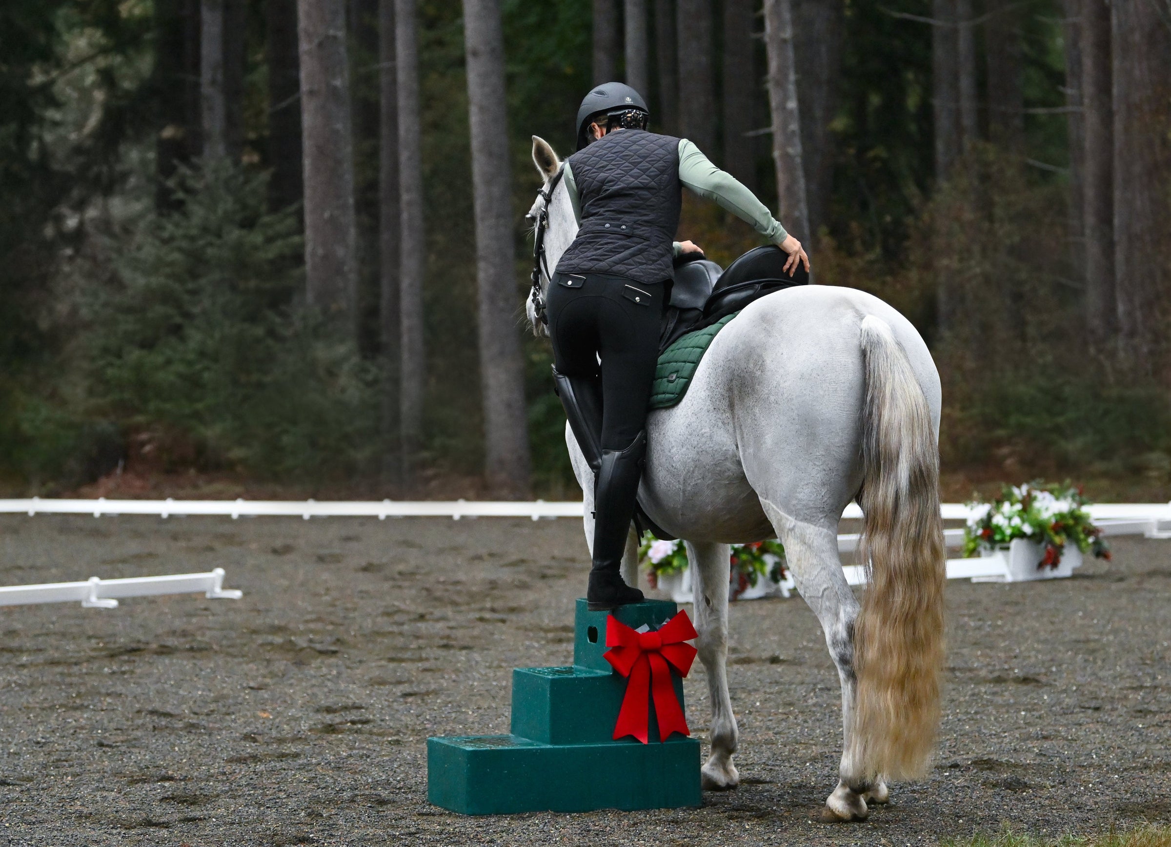 Copper Pony Poles + Equipment
